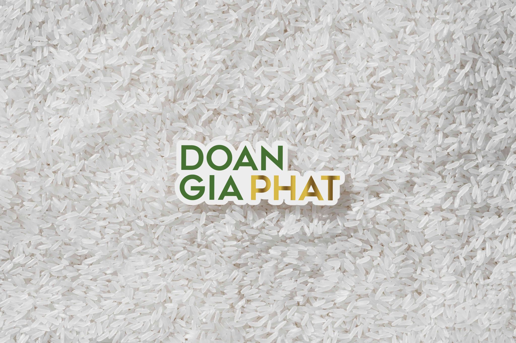 Doan Gia Phat | Cherish Vietnamese Rice Grains