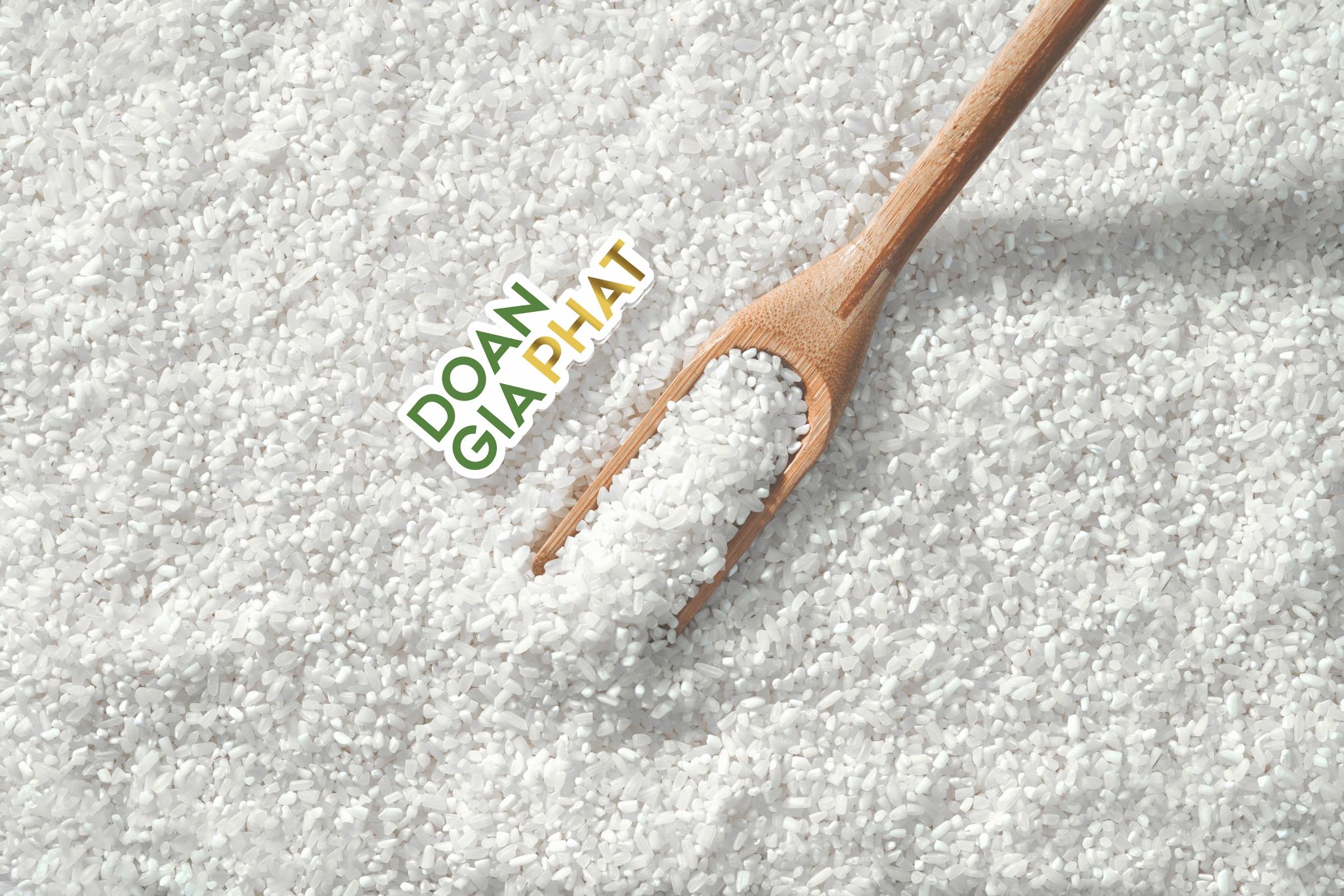 Rice selection criteria | Doan Gia Phat